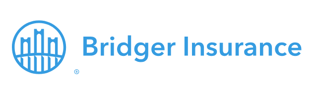 Bridger Auto Launch Webinar