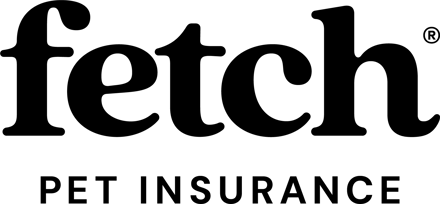 Fetch Launch Webinar